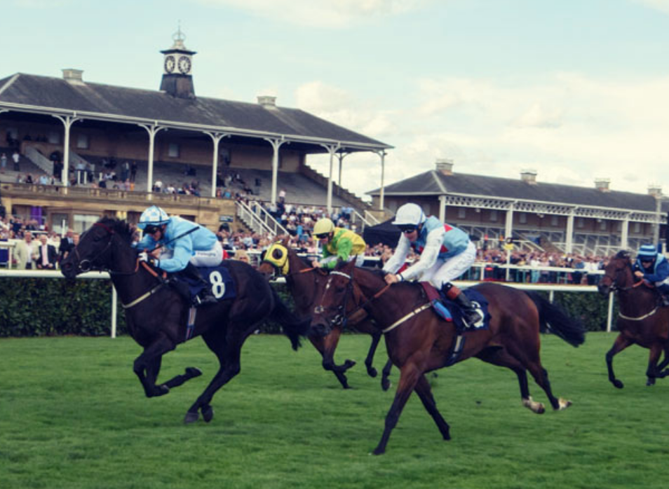 Horse Racing Spectators and Bettors Set To Return To St Ledger Festival ...